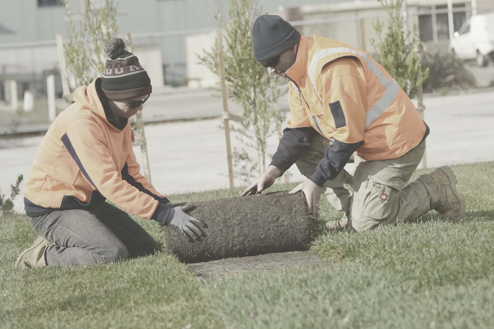 Supported Employment